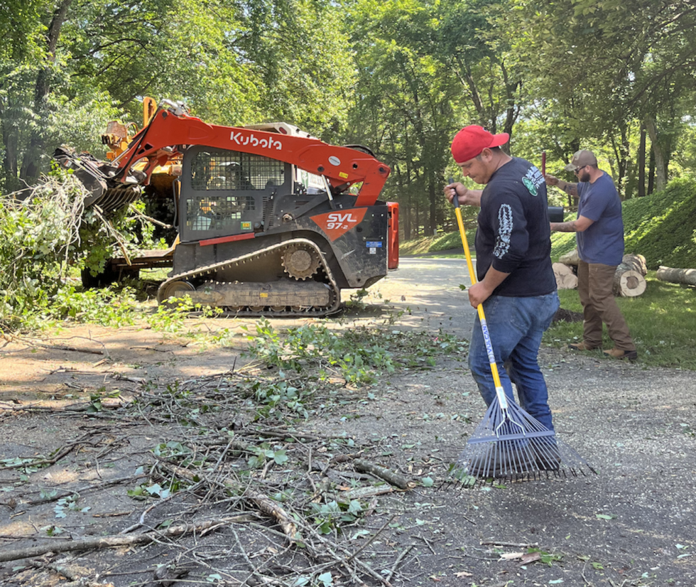 Tree Services at Affordable Rates | Patrick Musser Tree Service